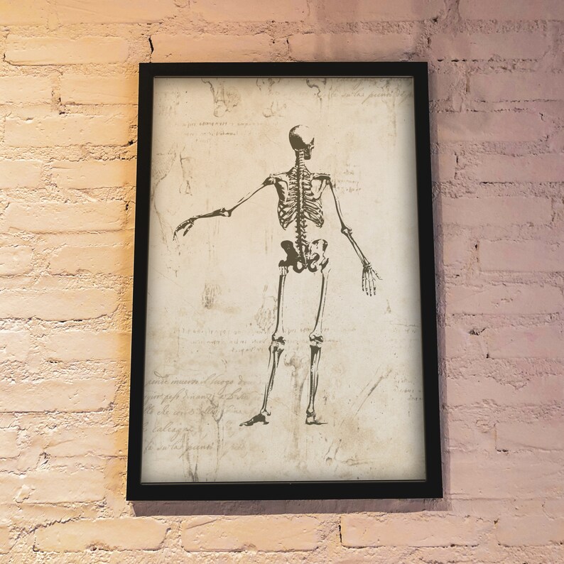 Vintage Anatomy, Skeleton Behind Art Print, Wall Art, A4 & A3, PDF and ...