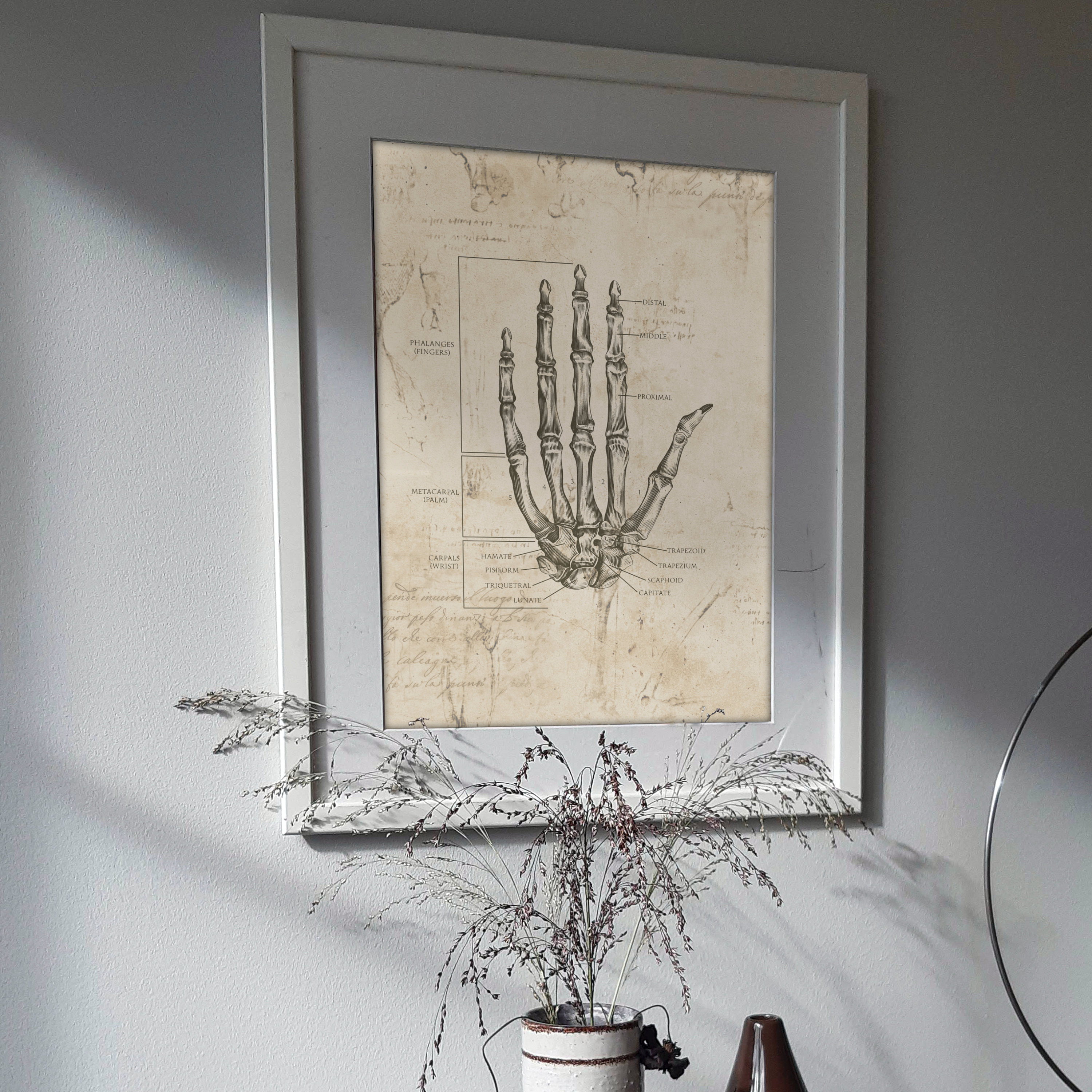Vintage Anatomy, Skeleton Hand Art Print, Wall Art, A4 & A3, PDF and ...