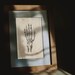 Vintage Anatomy, Skeleton Left Hand Art Print, Wall Art, A4 & A3, PDF ...
