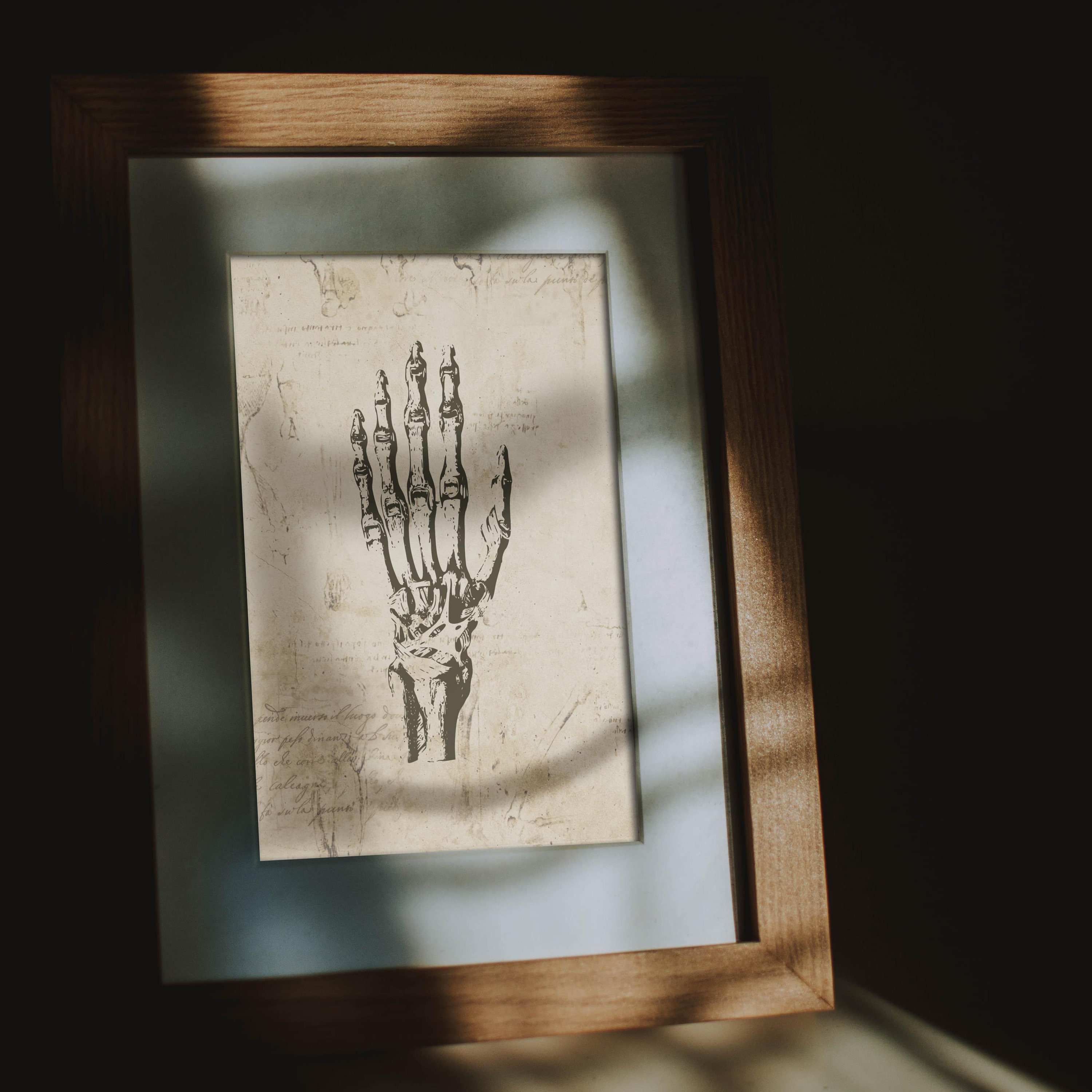 Vintage Anatomy, Skeleton Left Hand Art Print, Wall Art, A4 & A3, PDF ...
