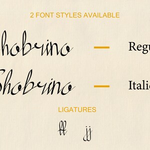 Shabrina Beautiful Script Font, Brush Font, Handwriting Font, Signature ...