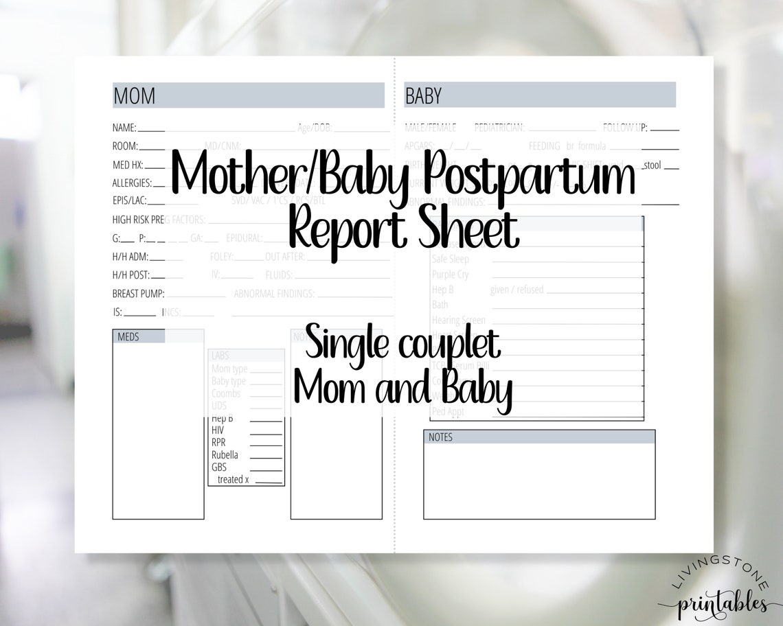 Plain Mother Baby Report Sheet for Postpartum Nurses Couplet - Etsy