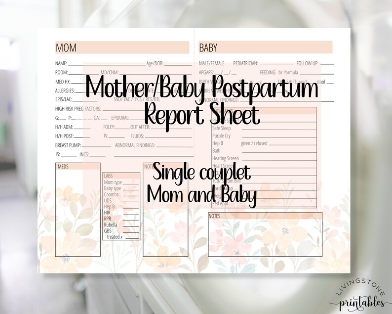 Postpartum Nursing Report Sheet Printable Mom Baby Couplet - Etsy