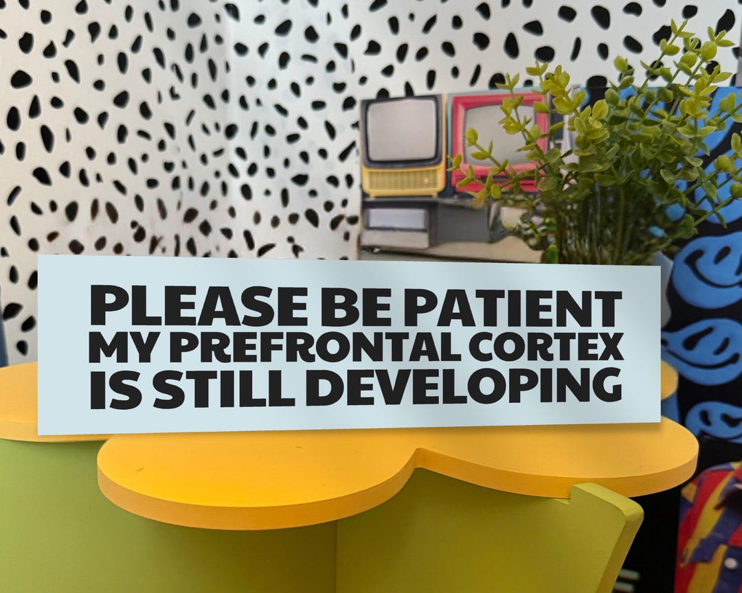 Please Be Patient Bumper Sticker New Driver Car Magnet Funny Car Decal ...