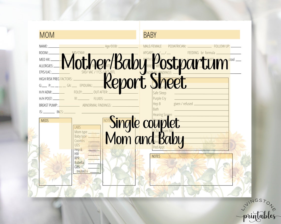 Mother Baby Printable Nursing Report Sheet Couplet Care | Etsy