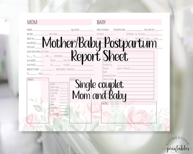 Pink Mother Baby Postpartum Nursing Printable Report Sheet - Etsy