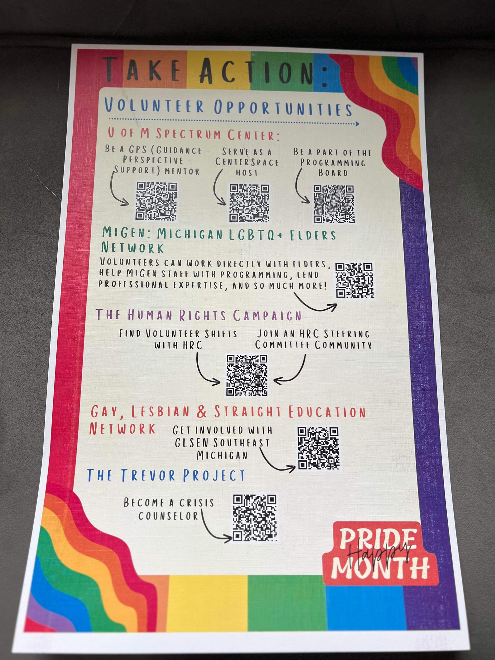 Pride Month Infographic Posters for Michigan,take Action Infographic ...