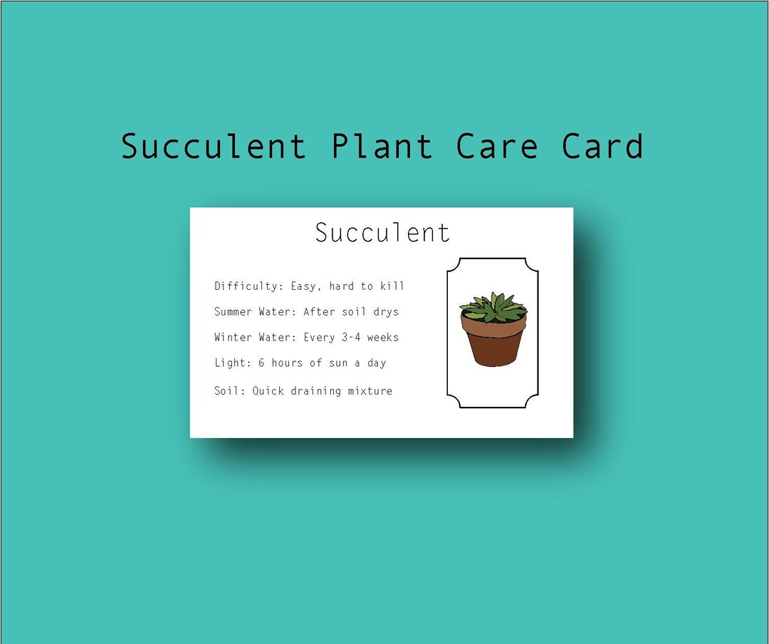 Succulent Plant Care Card, Printable Infographic, House Plants - Etsy