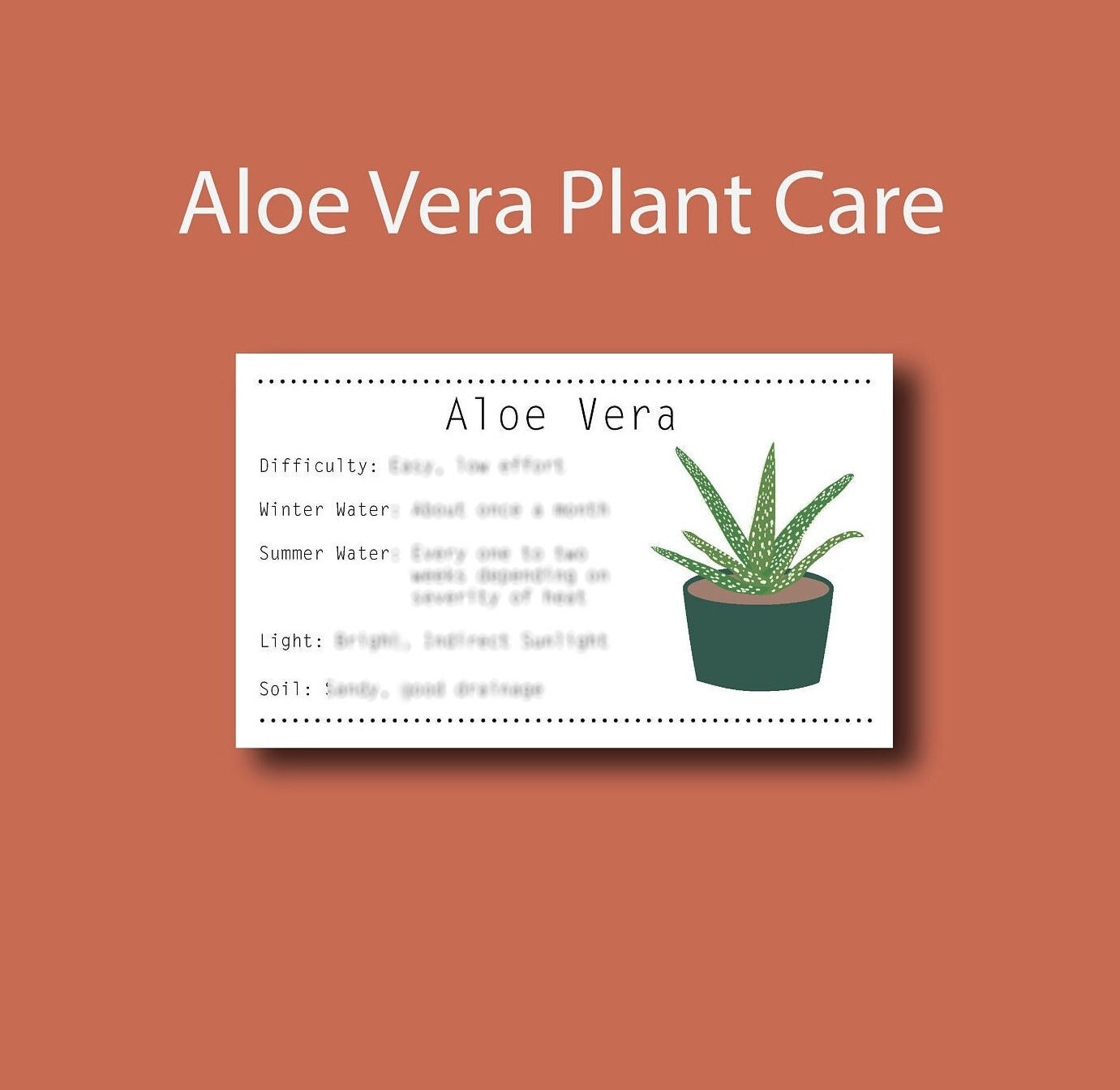 Aloe Vera Plant Care Card Digital Download Infographic Printable Etsy