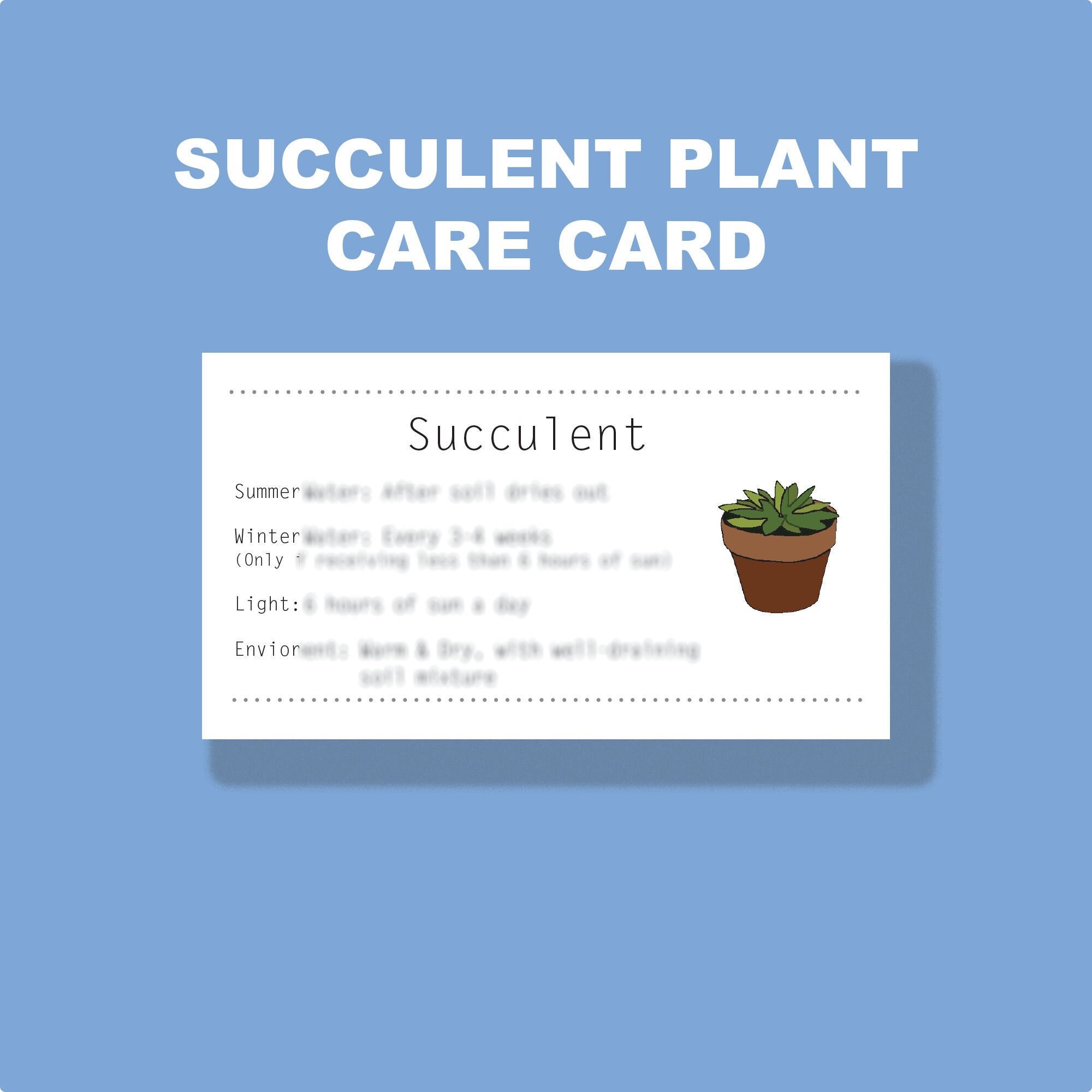 Succulent Plant Care Card, Digital Download Infographic, Printable - Etsy