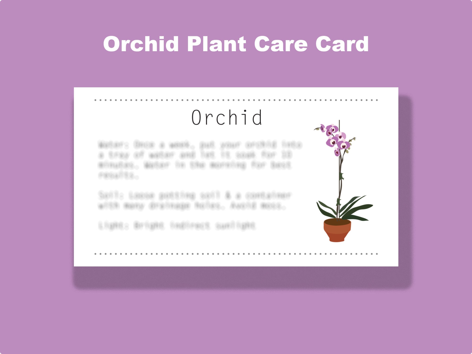 Orchid Plant Care Card, Digital Download Infographic, Printable - Etsy