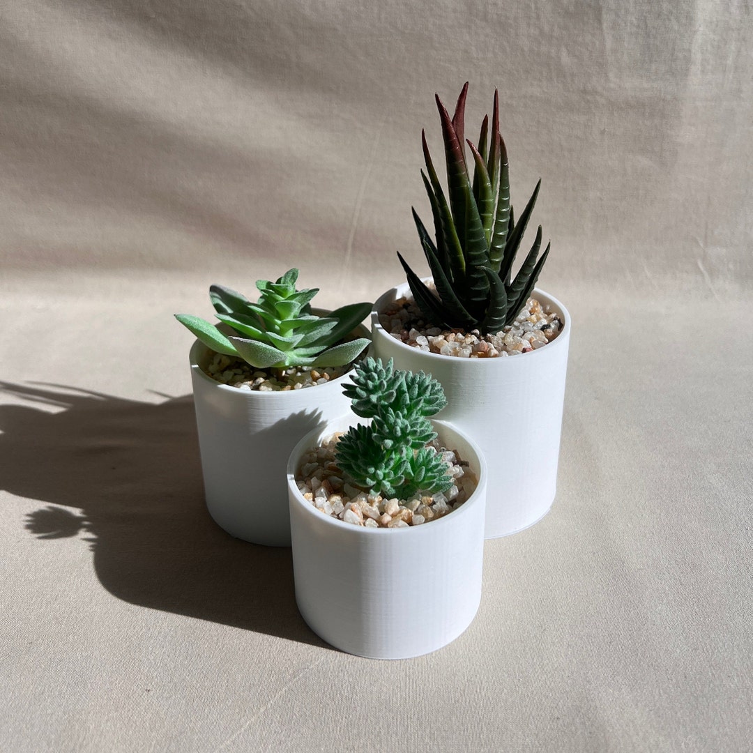 Triple Succulent Planter With Three Spaces Minimal Eco - Etsy