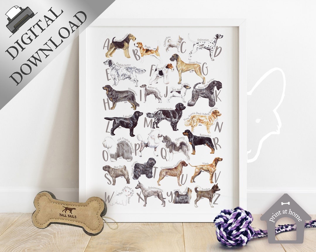 A Z Pedigree Dog Alphabet Digital Poster Print / Alphabet of Purebred ...