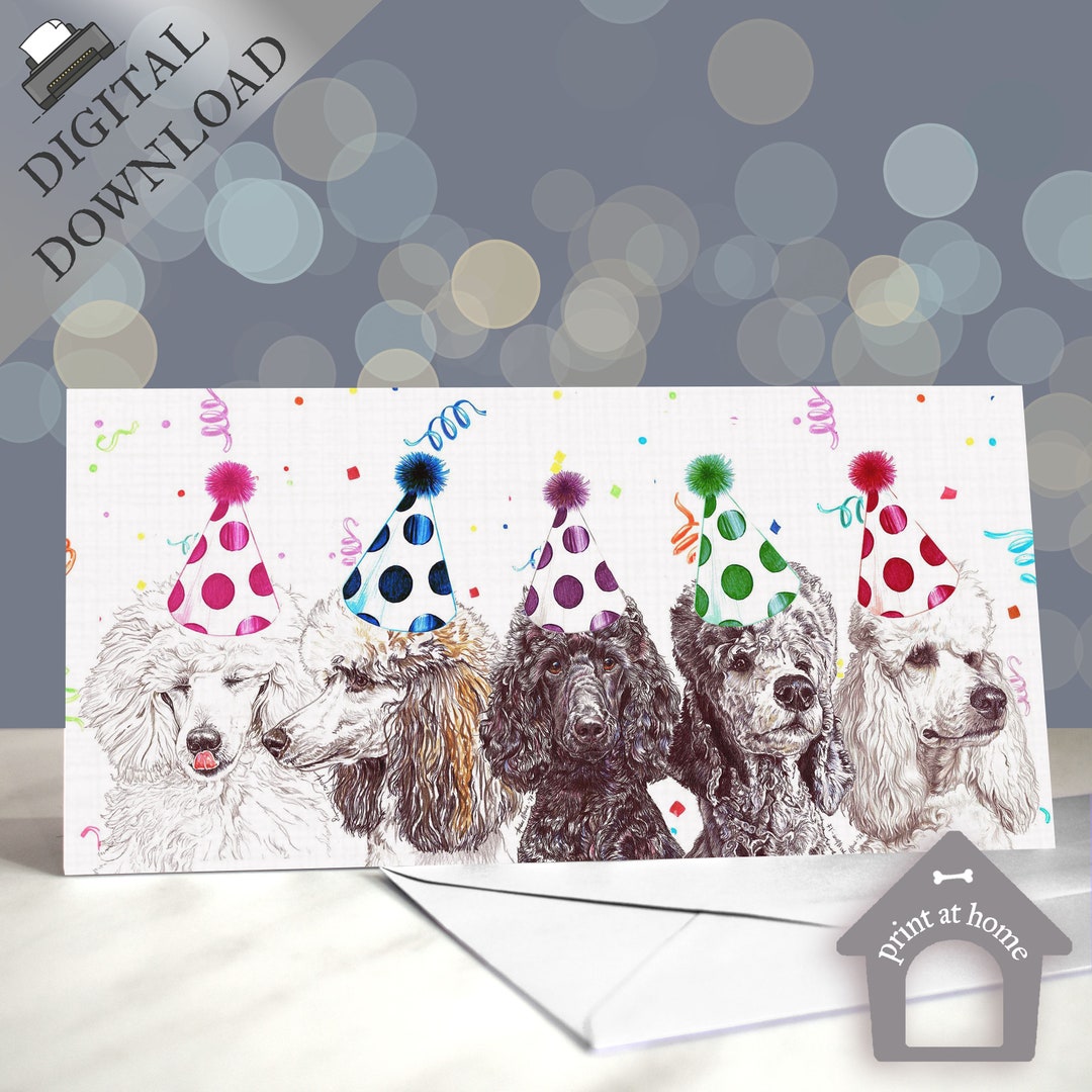 Standard Poodle Birthday Greeting Card Poodles With Party Hats Digital ...