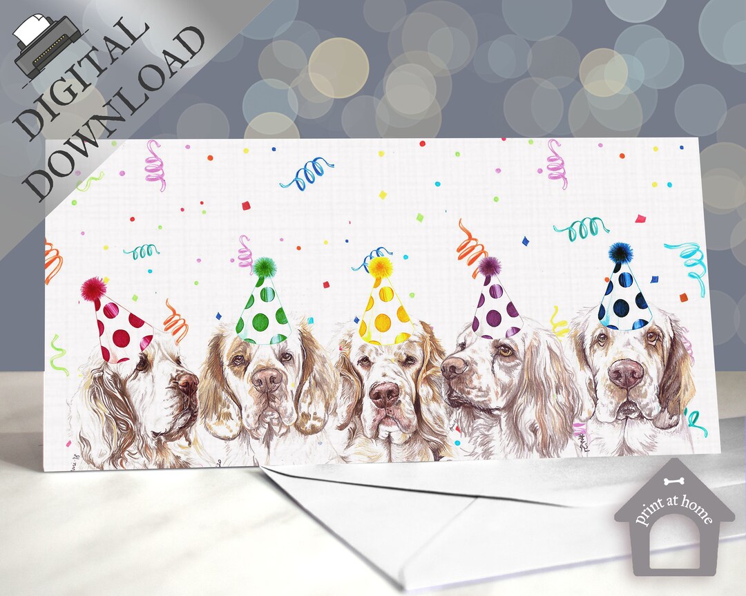 S-clumb Party Birthday Greeting Card Clumber Spaniel Dogs With Party ...