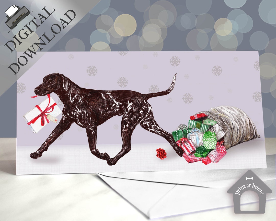 German Shorthaired Pointer Gift Thief Festive GSP Christmas Greeting ...