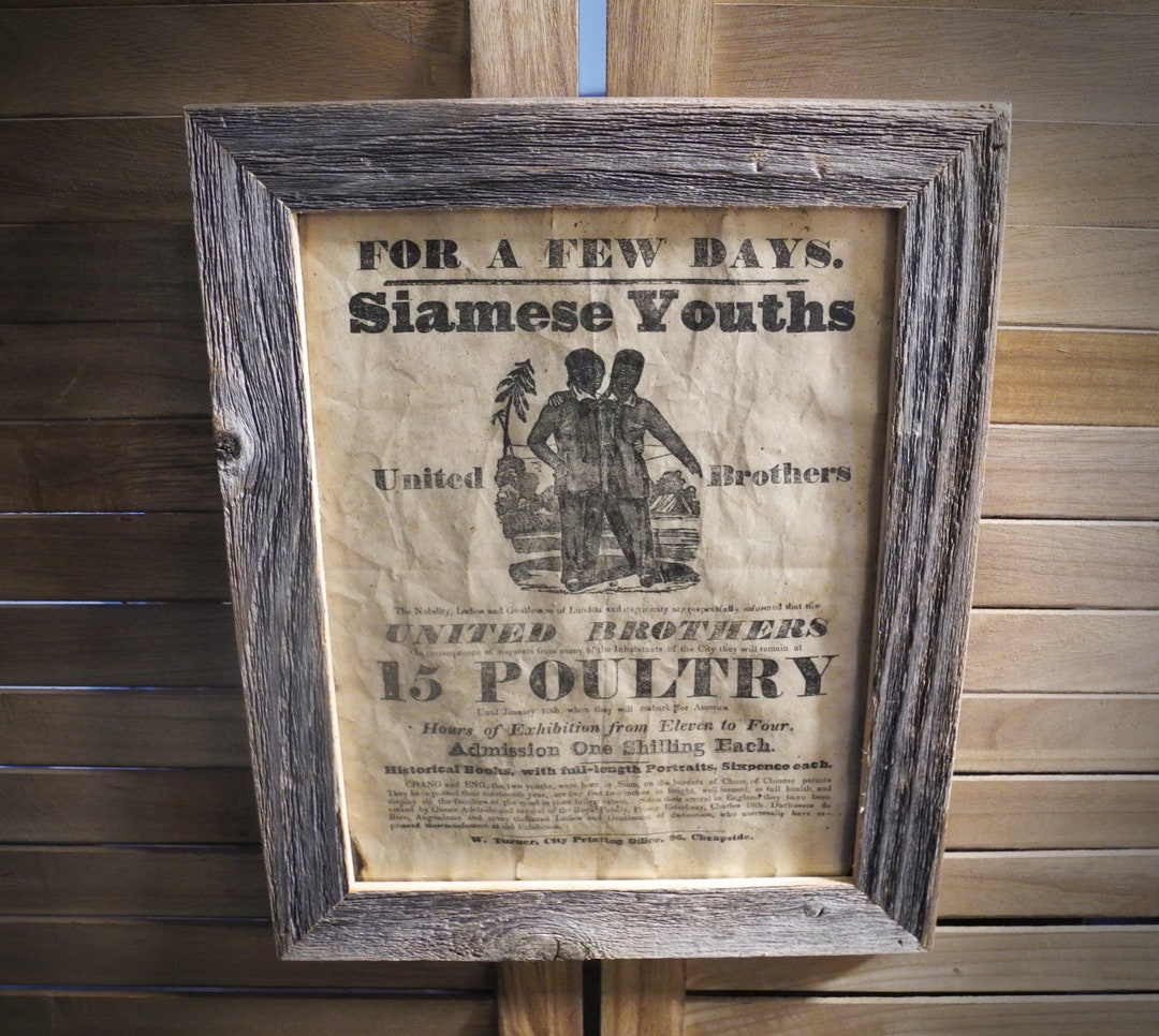 Siamese Youths Freakshow Posters Aged Document Frame Not Included - Etsy