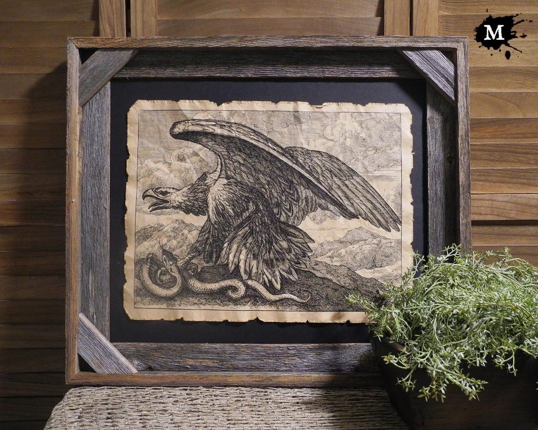 American Bald Eagle Etch Colonial America Aged Document Frame Not ...