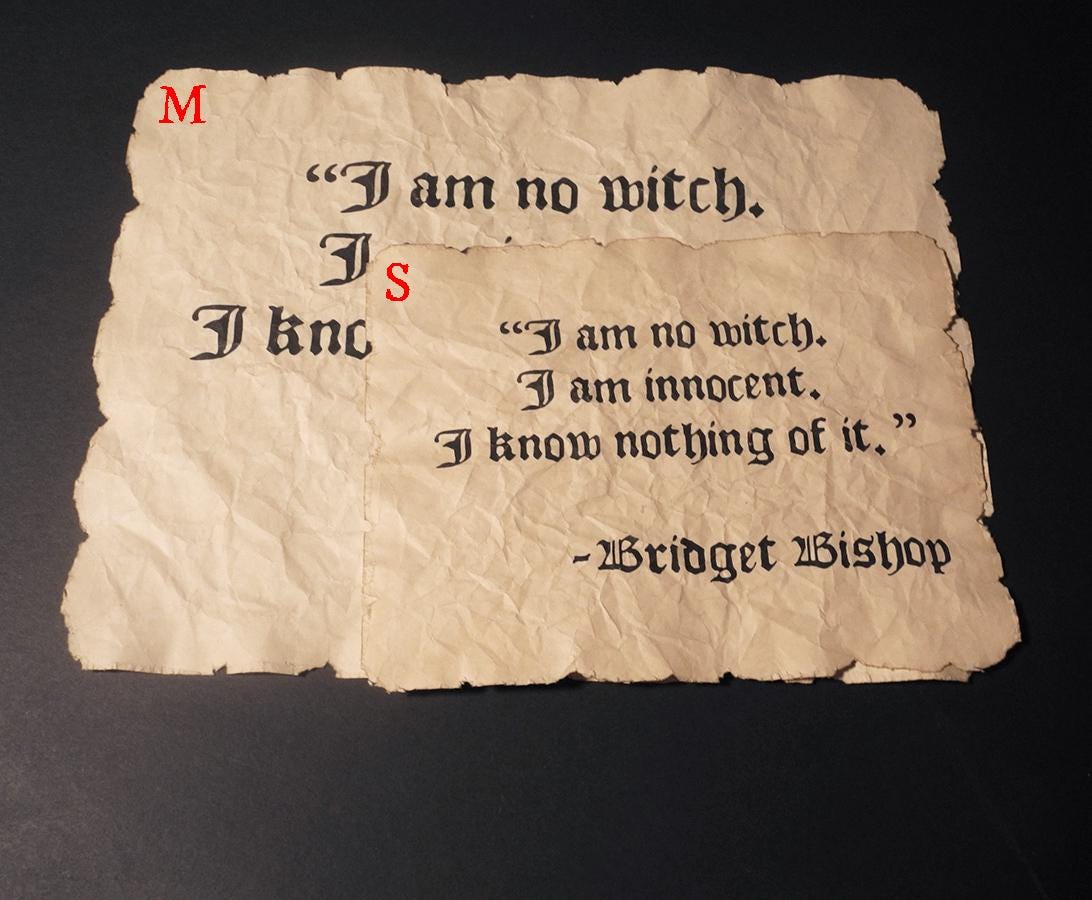Salem Witch Trials Bridget Bishop Quote Aged Document Frame Not ...