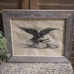 American Bald Eagle Etch Colonial America Aged Document Frame Not ...