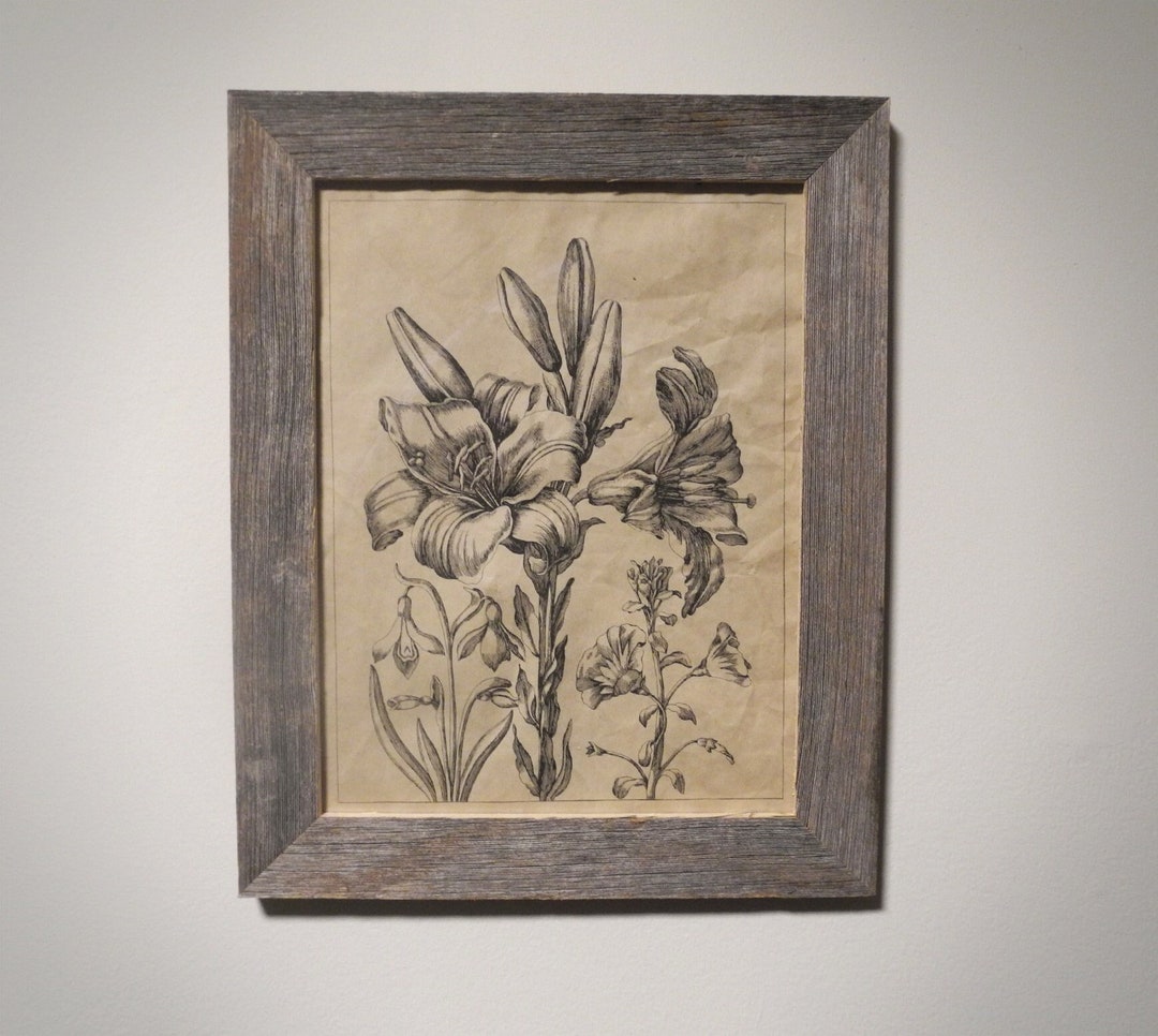 Antiqued Flower Lily Engraving Aged Document Frame Not Included ...