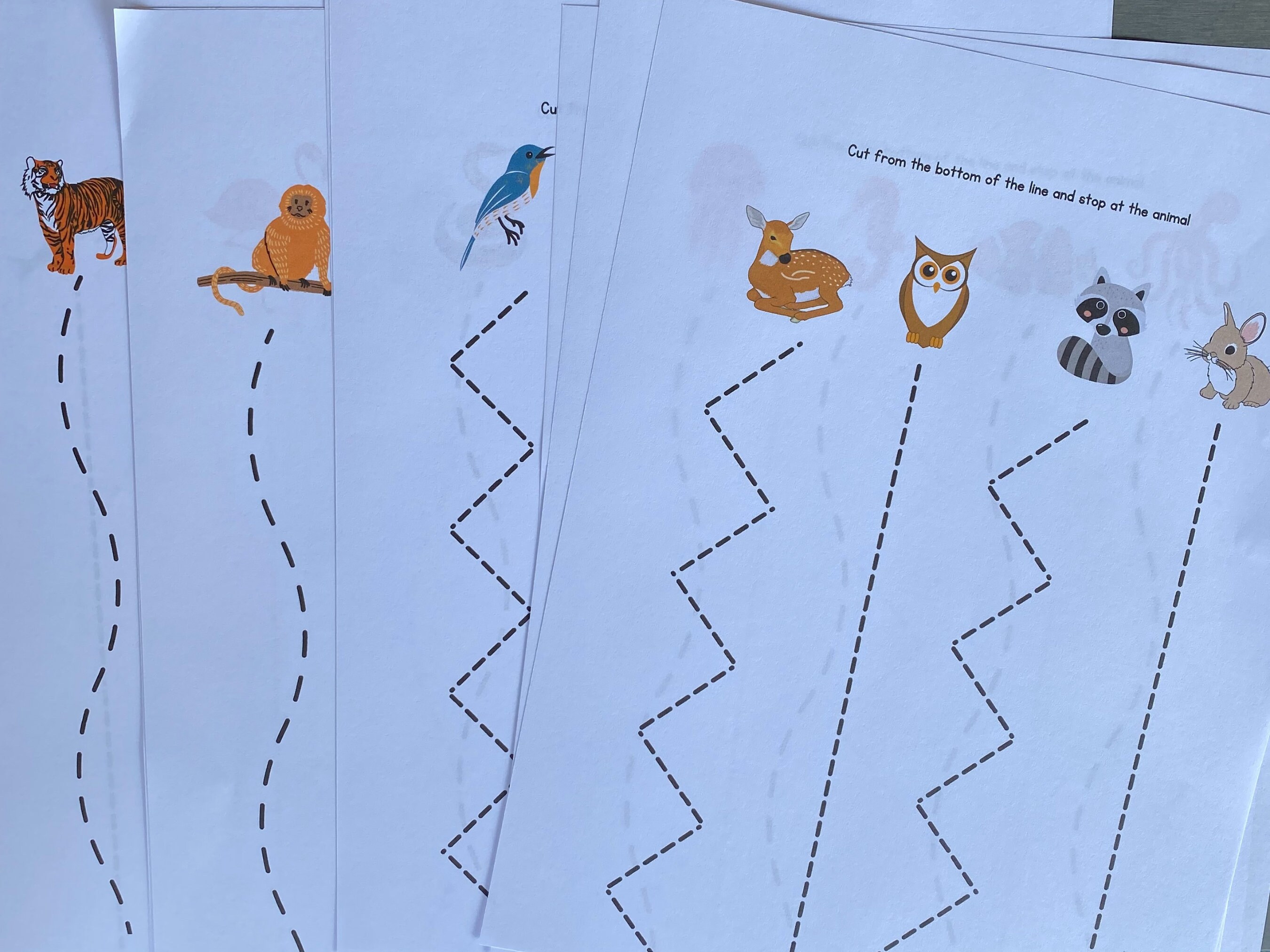 Scissor Skills With Animals | Cutting Skills for Kids | Cutting ...