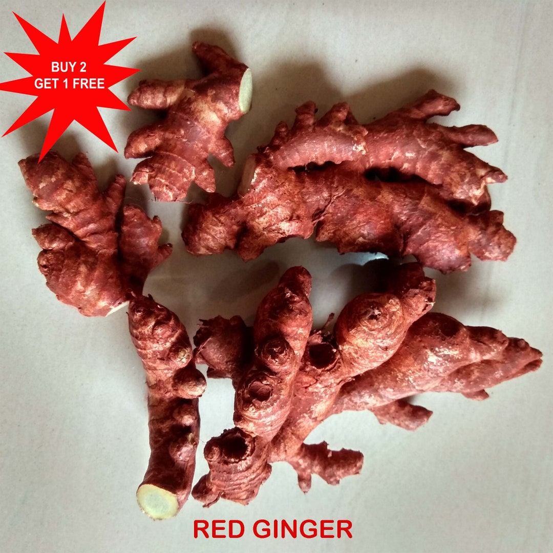 Red Ginger / Red Zingiber Officinale / A Medicinal Ginger Grown in Red ...