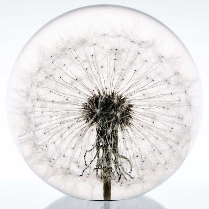 Objet D'art - Etsy
