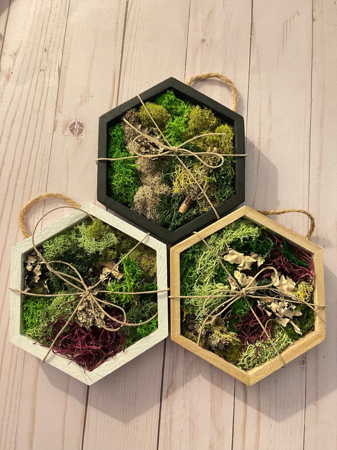 Wooden Hexagon Moss Shadow Box 6x5x1 in White, Black, or Natural Frame ...