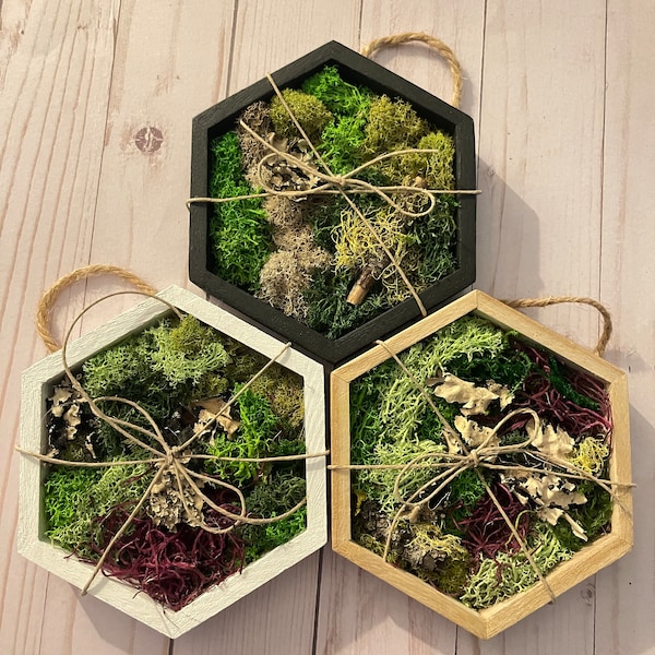 Handmade Shadow Box - Etsy