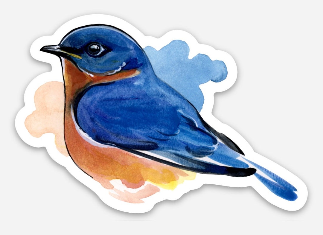 Bluebird Watercolor Painting Art Sticker Cute Backyard Bird Watching ...