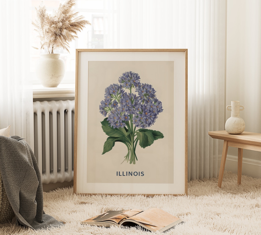 Illinois Violet State Flower Art, Illinois Blue Violet, Illinois State ...