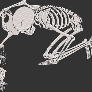 SKELETON WITH GROWN Heart Machine Embroidery Glowing Threads 4 Sizes 8 ...