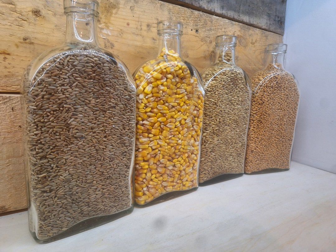 Whiskey Grains: Corn, Rye, Barley, Wheat - Authentic Mash Bill ...