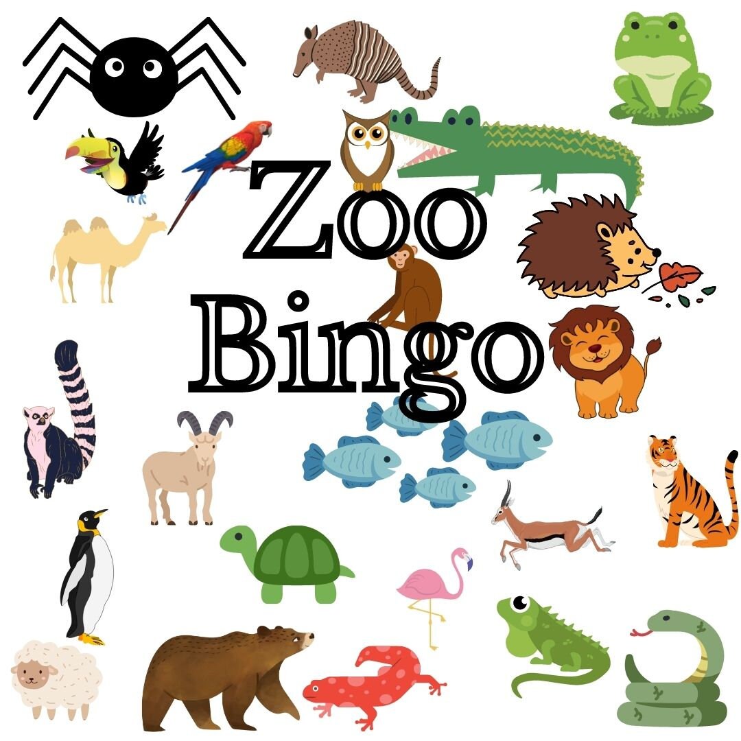 Zoo Bingo 24 Printable Zoo Bingo Sheets - Etsy