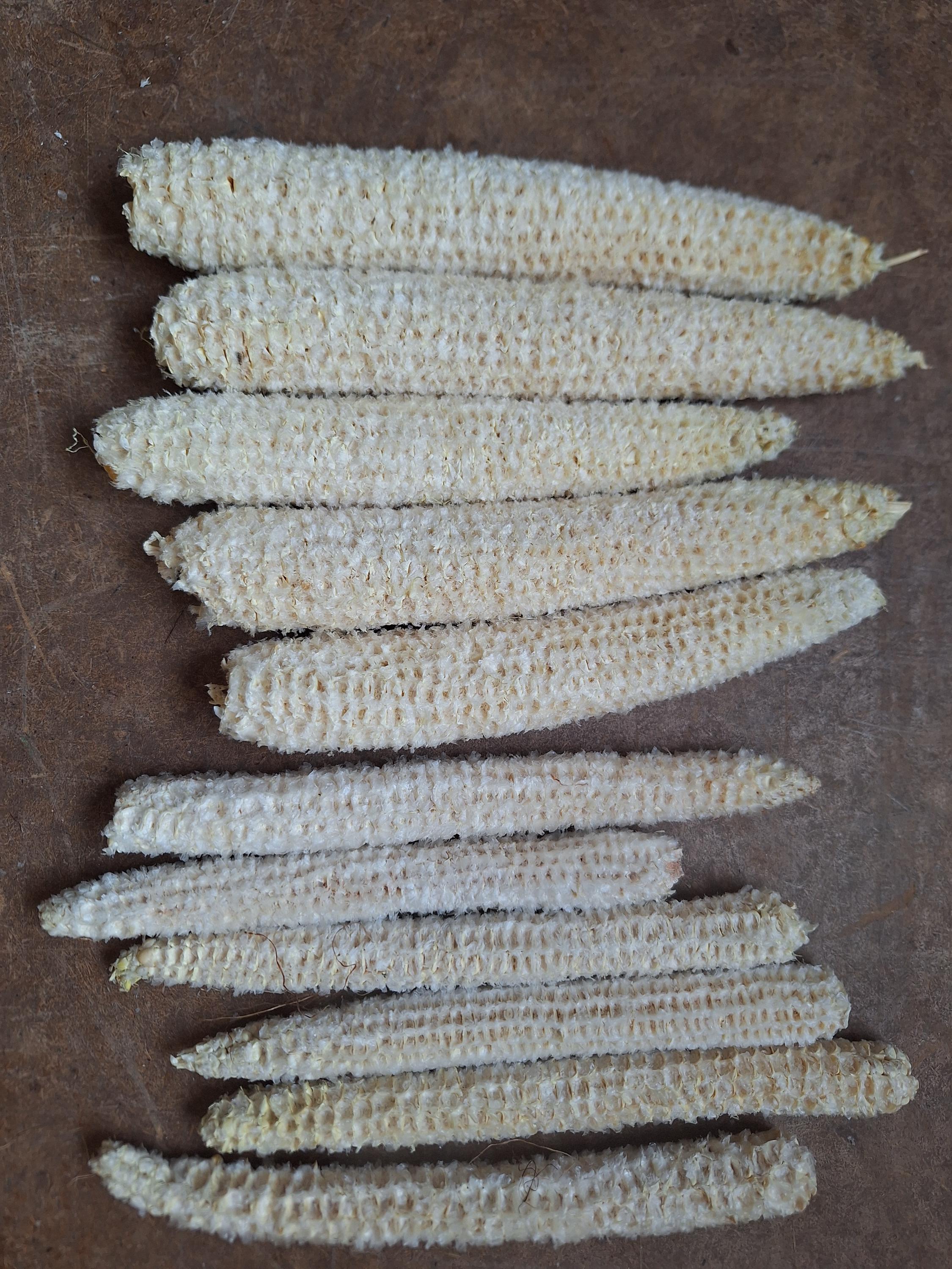 Dried Farm Corn Cobs, Fall Thanksgiving Decor, DIY Crafts - Etsy