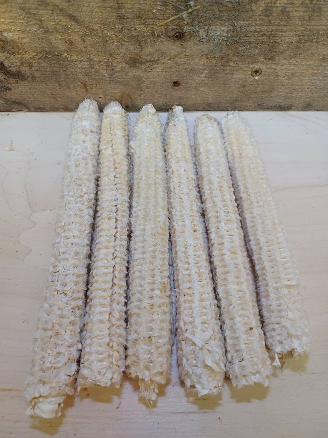 Dried Farm Corn Cobs, Fall Thanksgiving Decor, DIY Crafts - Etsy