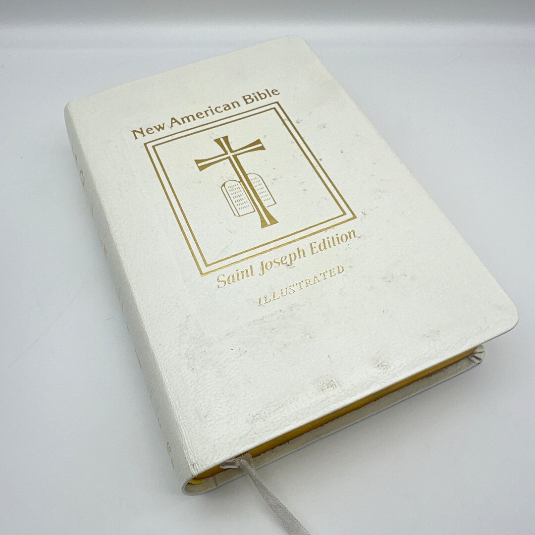 New American Bible, Saint Joseph Edition, Illustrated, Medium Size ...
