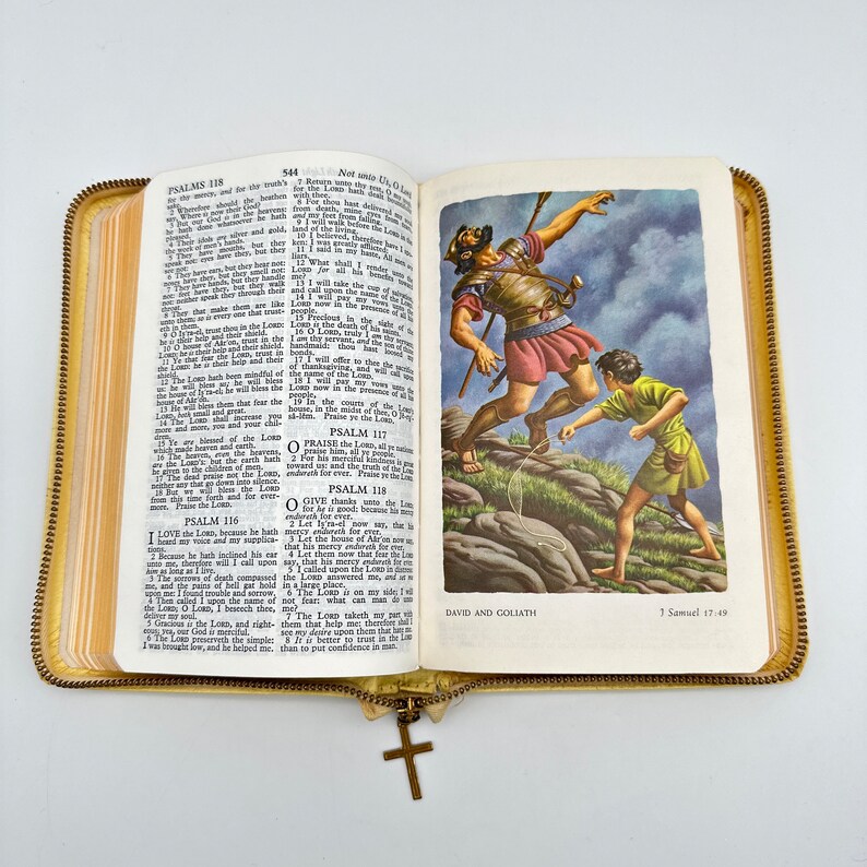 Holy Bible, Red Letter Edition, Illustrated, Zippered Cover, Self ...