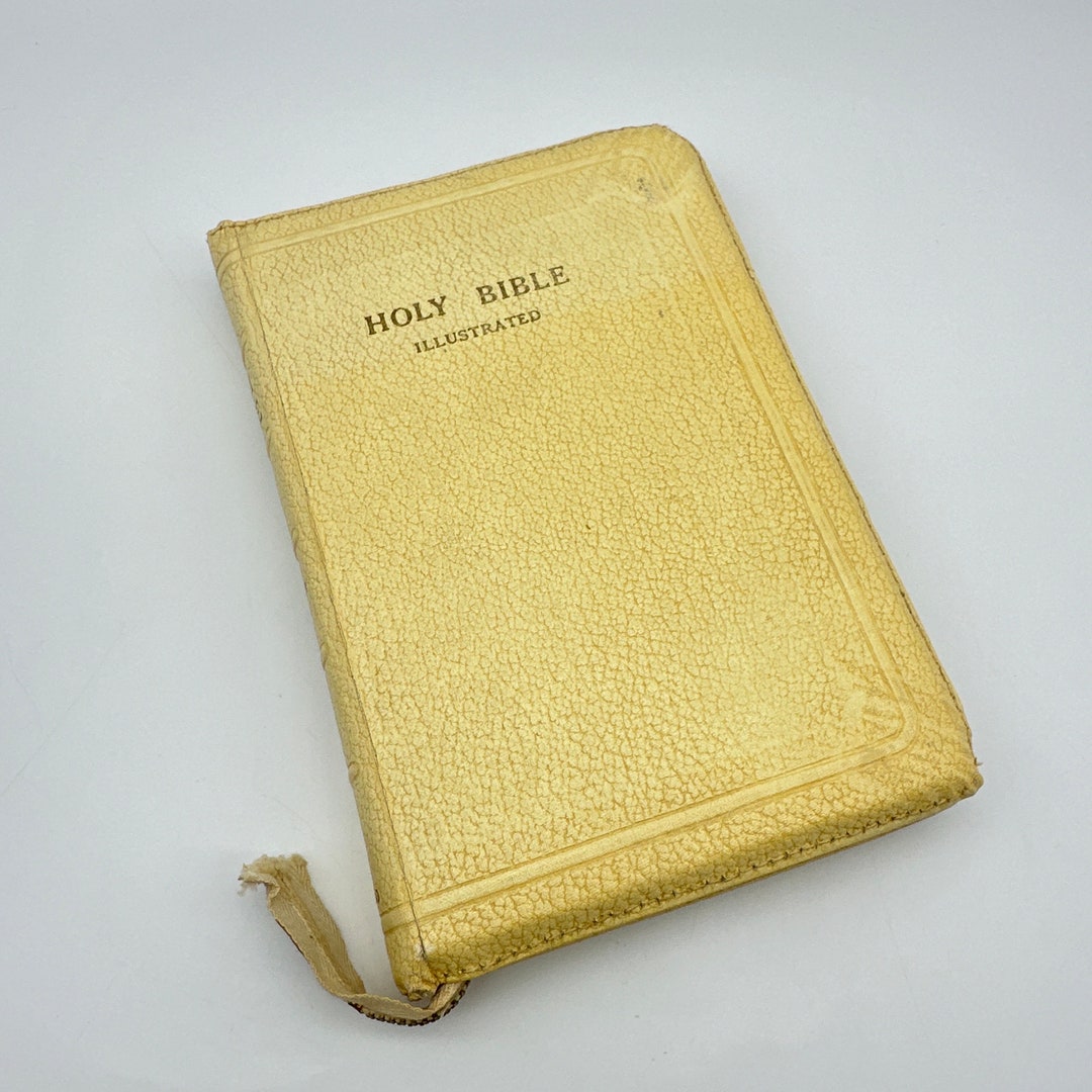 Holy Bible, Red Letter Edition, Illustrated, Zippered Cover, Self ...