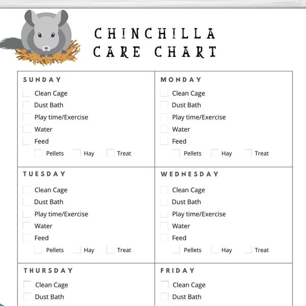 Printable Dinosaur Reward Coupons and Reading Tracker Bundle, Instant ...