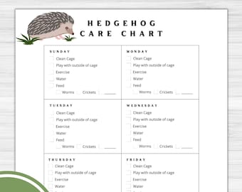 Hedgehog Care Chart - Etsy