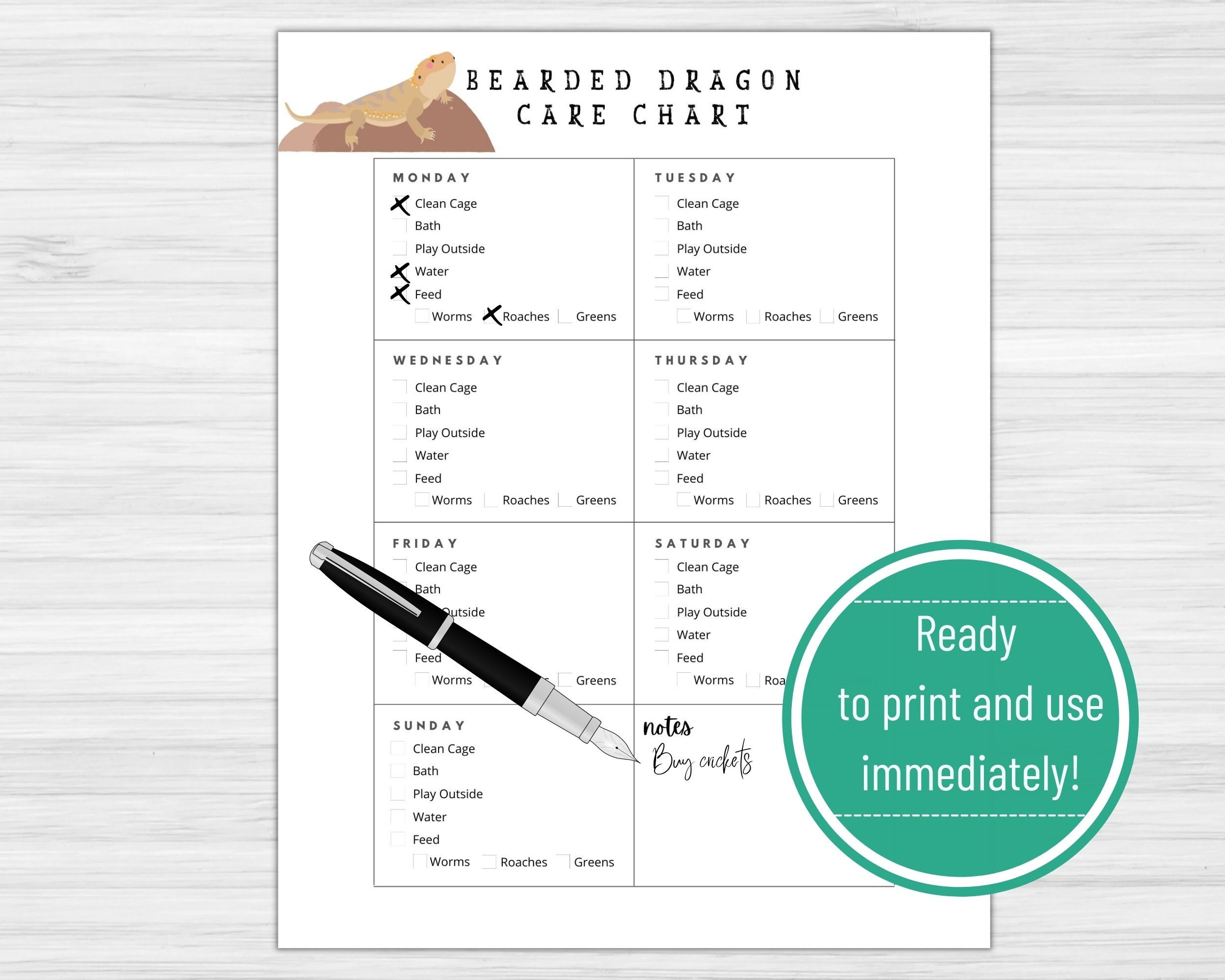 Bearded Dragon Care Chart Printable Download, Care Tracker, Daily Care ...