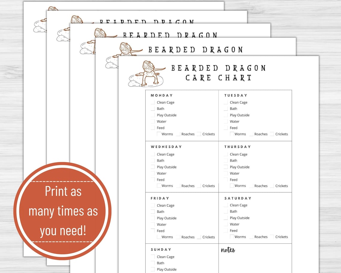 Bearded Dragon Care Chart Instant Printable Download, Pet Reptile ...
