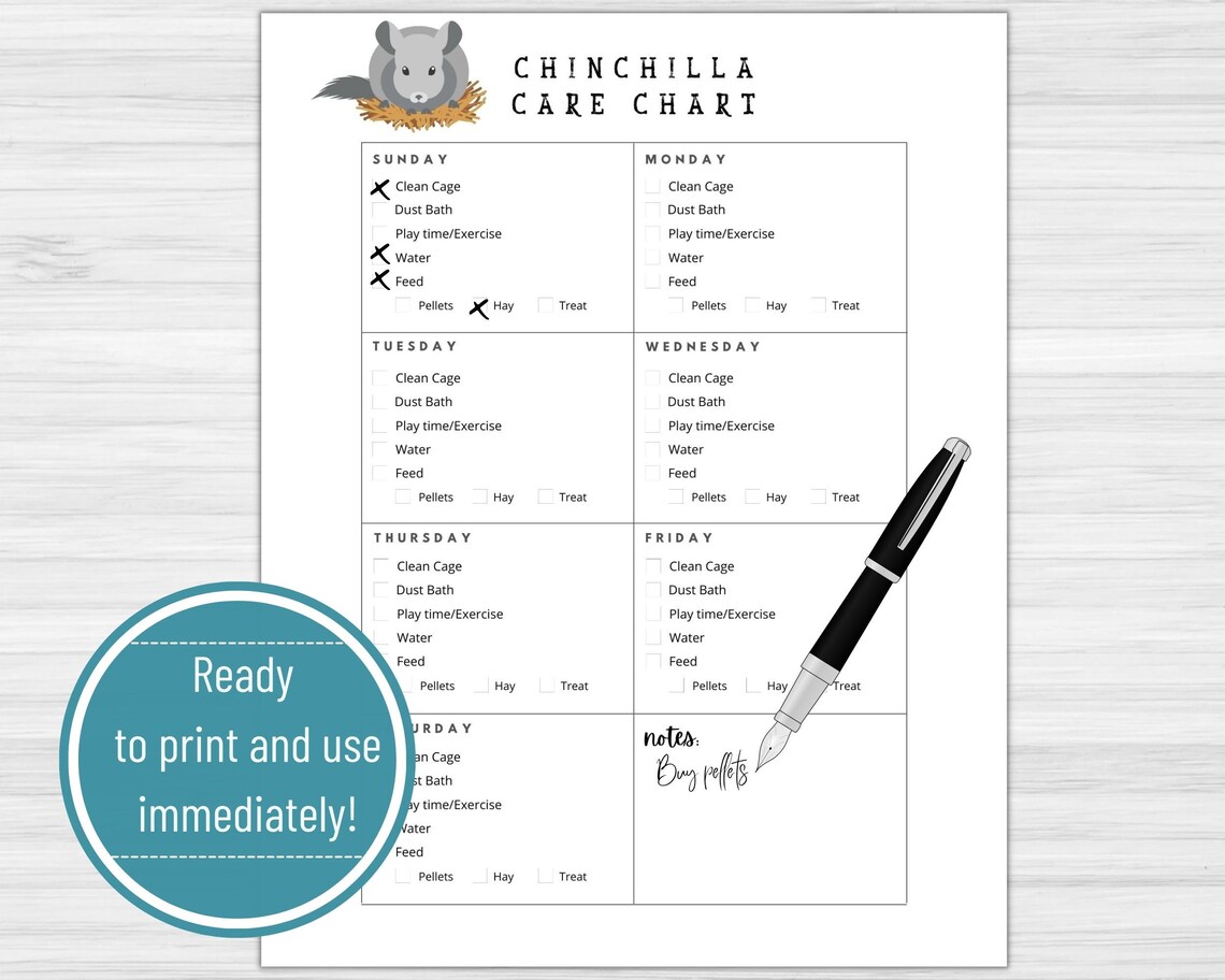 Chinchilla Care Chart Printable Download - Etsy