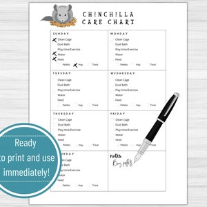 Chinchilla Care Chart Printable Download - Etsy