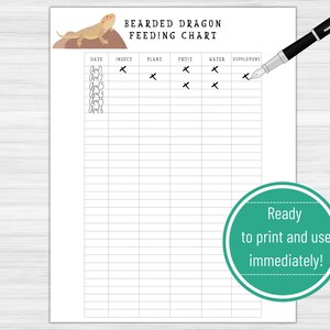 Bearded Dragon Monthly Feeding Chart Printable Download - Etsy