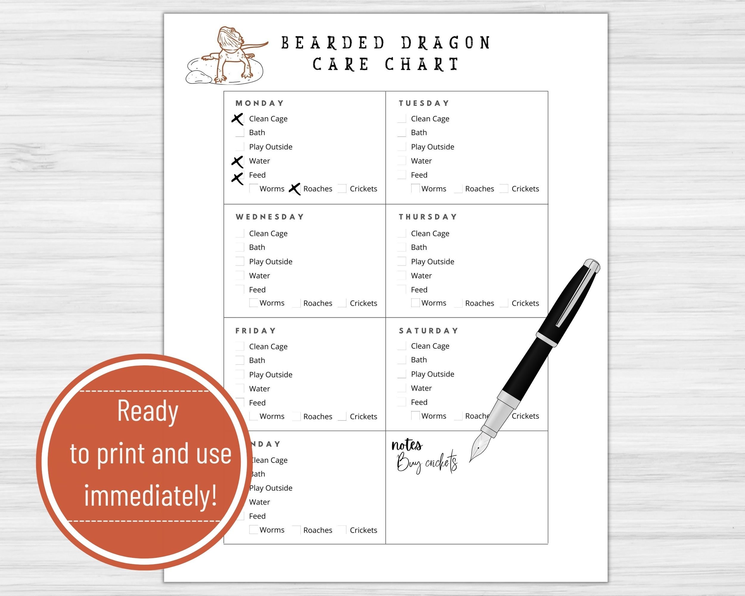 Bearded Dragon Care Chart Instant Printable Download, Pet Reptile ...