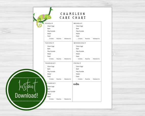 Chameleon Care Chart Printable Download | Etsy