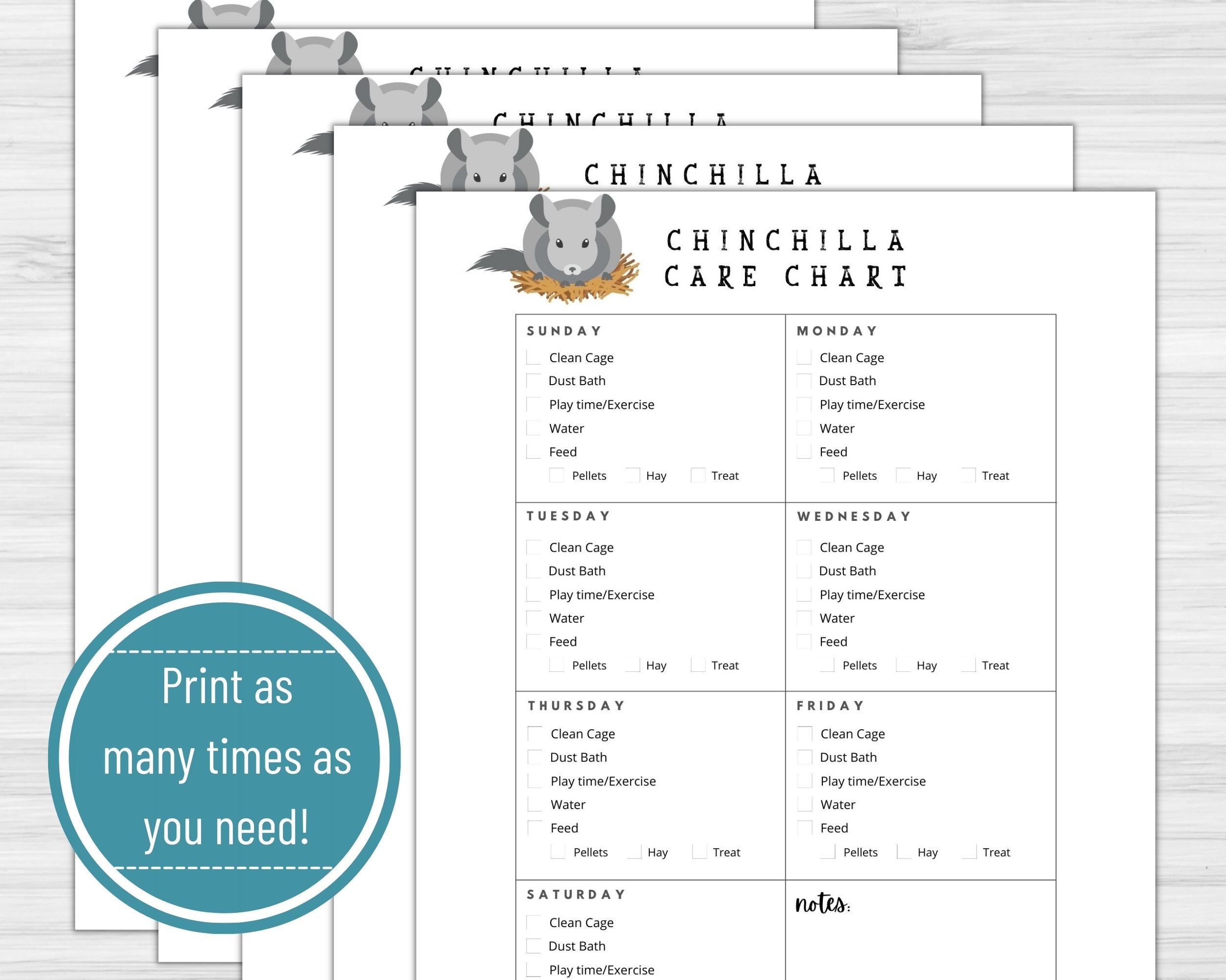 Chinchilla Care Chart Printable Download - Etsy